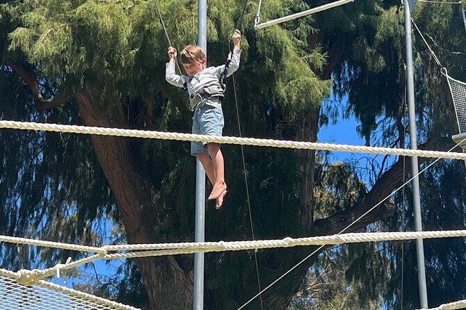 Recreational Flying Trapeze Classes - Deep Dive into the Details