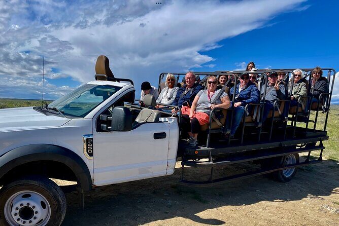 Red Canyon Wild Mustang Safari Truck Tours In Cody Wyoming! - Final Thoughts: Who Will Love This Tour?