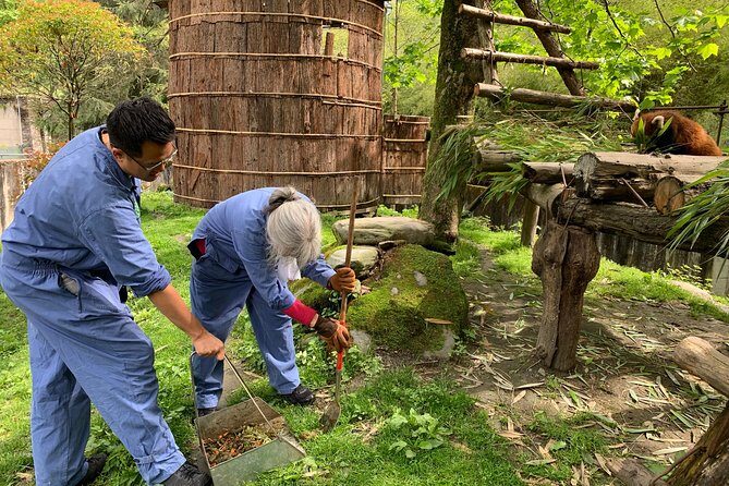 Red Panda Volunteer in Wolong Panda Base Private Tour - Practical Tips for Participants