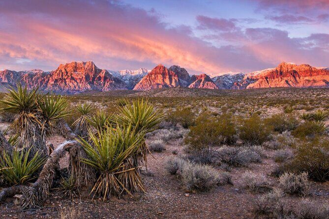Red Rock Canyon Scooter Tour from Las Vegas - How the Tour Works: From Pickup to Scenic Loop