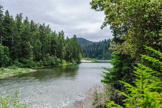 Redwood National and State Parks Self-Guided Audio Driving Tour - A Detailed Breakdown of the Itinerary
