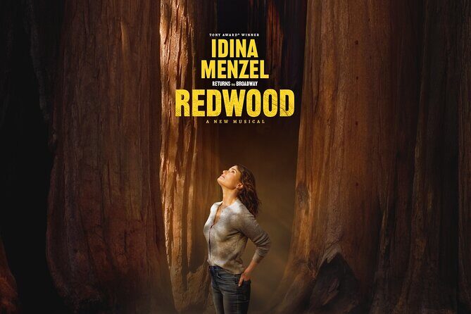Redwood Starring Idina Menzel on Broadway Ticket - Overview and Who This Tour Is For