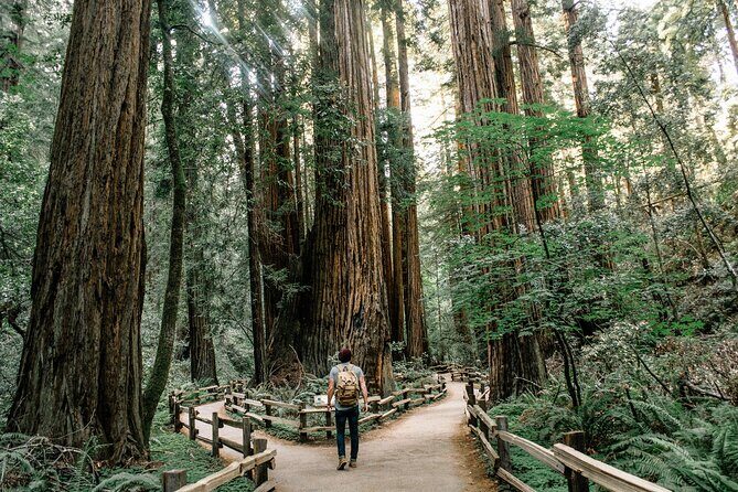 Redwoods Full-day Private Tour and Hike - The Itinerary: What Does the Day Look Like?