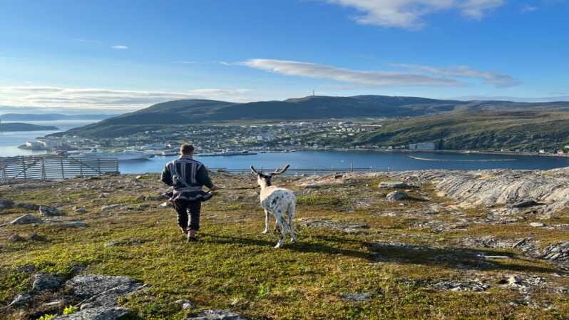 Reindeer and Stories: A Sami Cultural Adventure - Pricing and Value