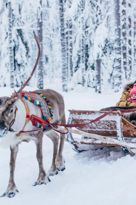 Reindeer Farm Visit with Sleigh Ride - The Sleigh Ride: Short but Magical