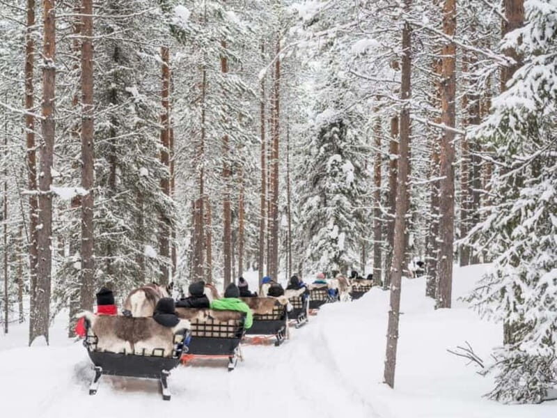 Reindeer Safari at a 200-Year-Old Farm & Long Sled Ride - The Sled Ride: A Heart-Pumping Arctic Experience