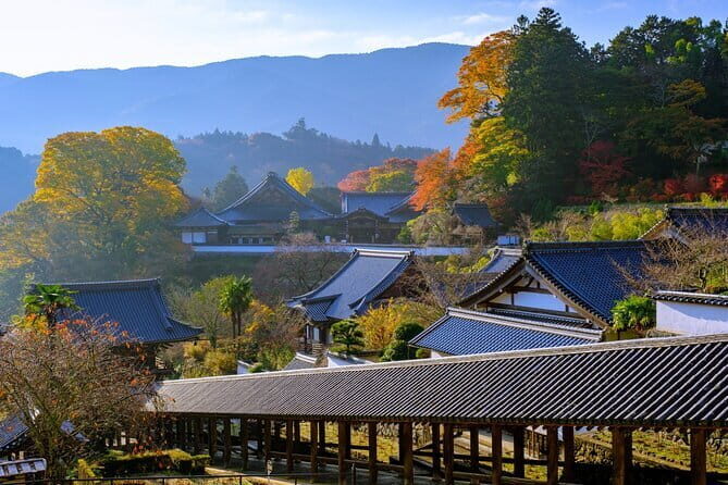Relaxed Nara tour from Kyoto Hasedera and Muroji Temples - The Practical Side: Value and Considerations