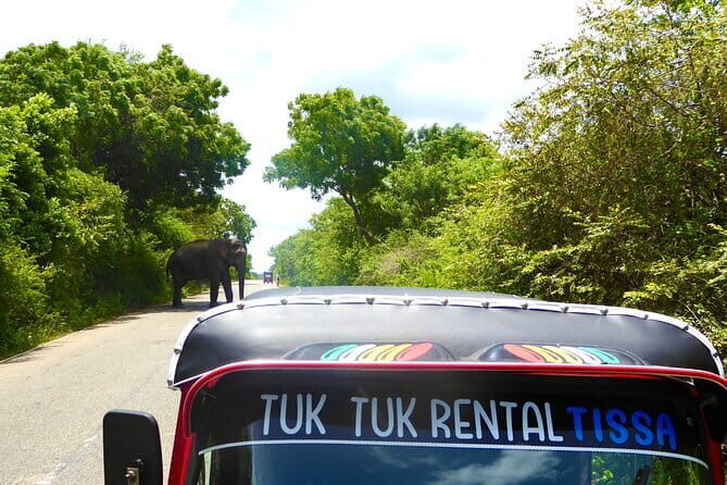 Rent a Tuk Tuk & Explore - What the Experience Looks Like