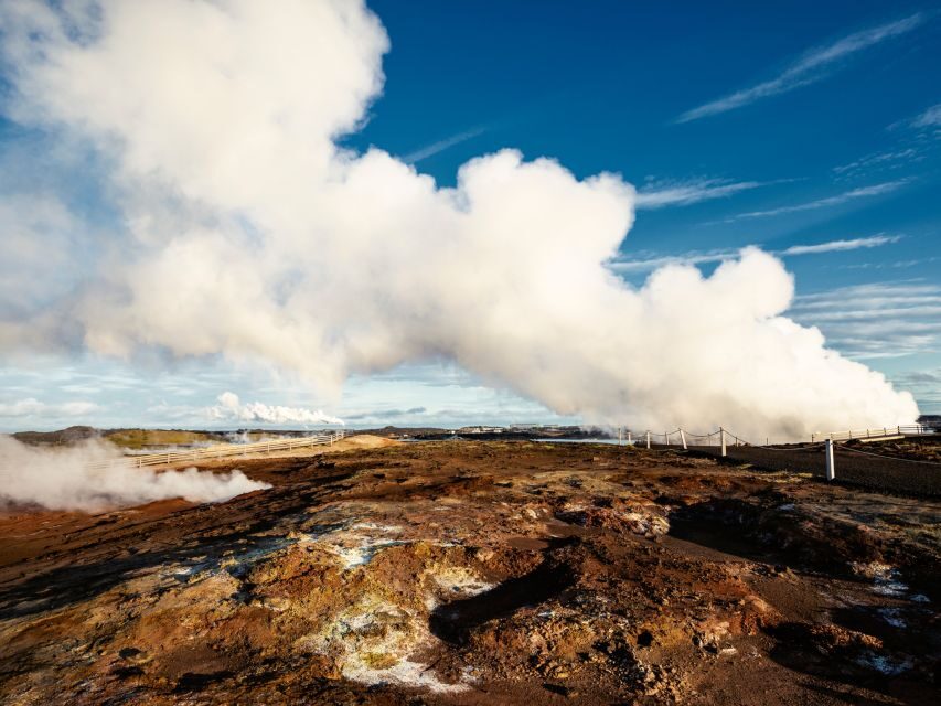 Reykjanes Peninsula : Private Guided Day Tour - What You Can Expect on the Tour
