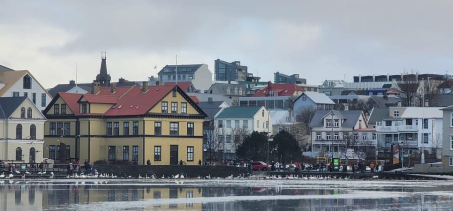 Reykjavik City private tour: Hallgrímskirkja, Perlan & More! - An In-Depth Look at the Reykjavik Private Tour