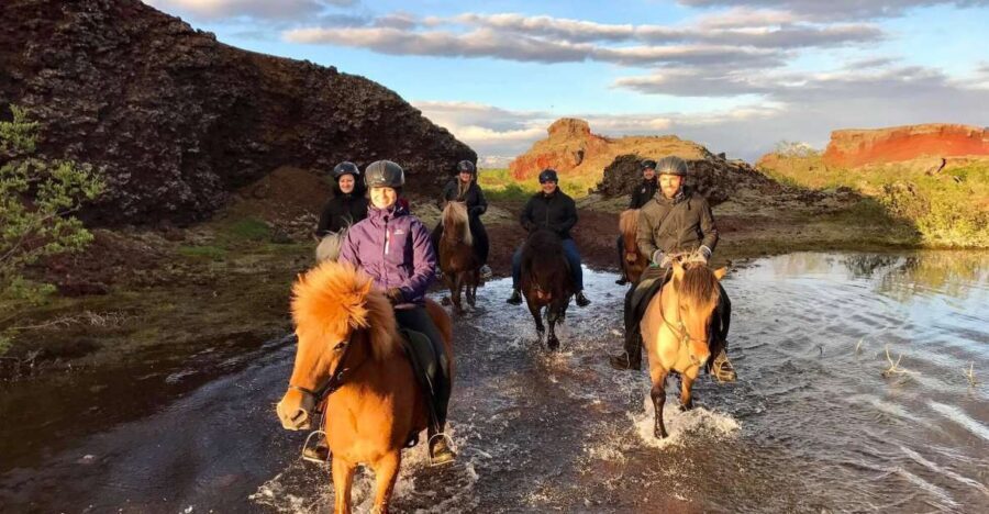 Reykjavik: Evening Sleipnir Horse Riding Tour with Pickup - What You Can Expect from the Tour