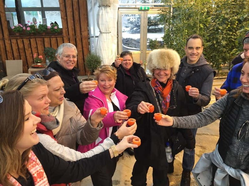 Reykjavik: Golden Circle, Fridheimar, & Sky Lagoon Day Trip - Experiencing the Sky Lagoon
