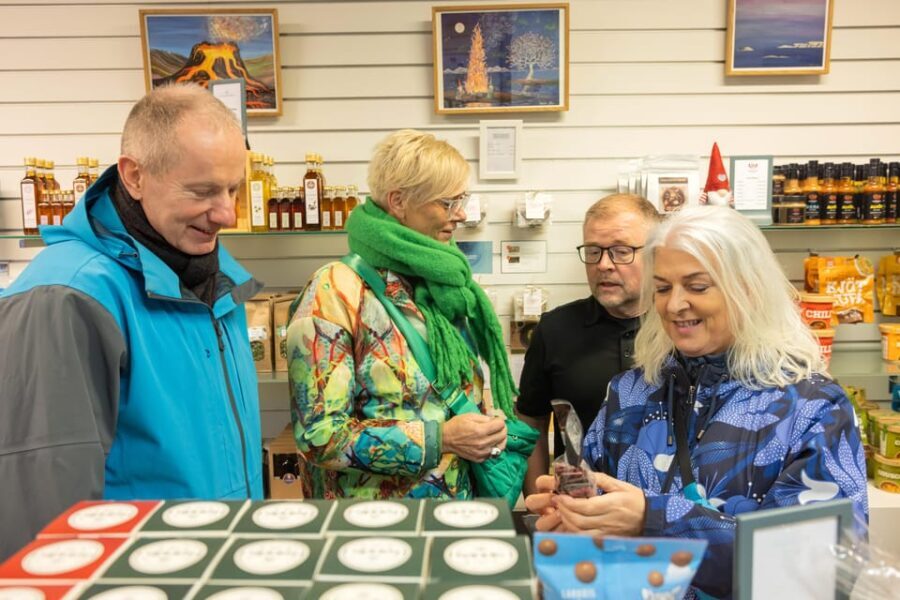 Reykjavik: Private Vegetarian Food Walking Tour - An In-Depth Look at the Reykjavik Vegetarian Food Tour