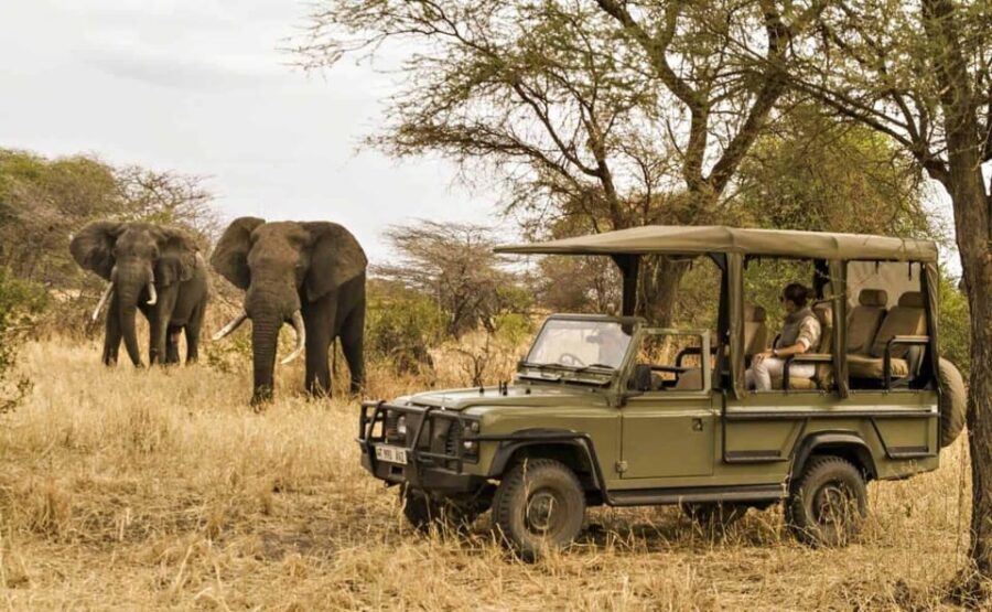 Richards Bay: Hluhluwe Imfolozi Game Reserve Half-Day Tour - Authenticity and the Wildlife Encounter