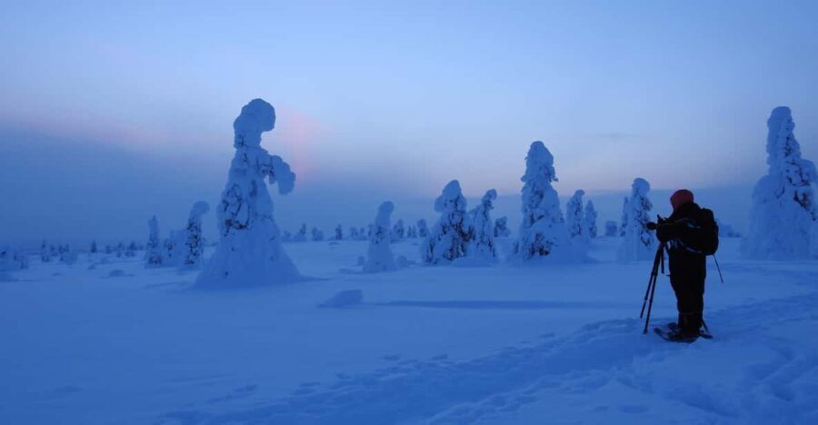 Riisitunturi National Park Snowshoe Experience - Who Will Love This Tour?