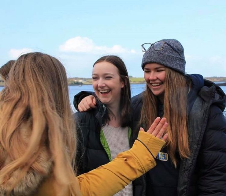 Ring of Kerry Full-Day Tour from Limerick - Transportation and Guide Quality