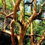 Road to Hana Private Jungle Tour with Lahaina Side pick up - Who Will Love This Tour?