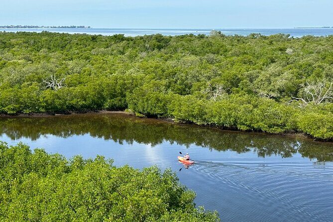 Robinson Preserve Nature Walk Eco Tour - What Travelers Are Saying