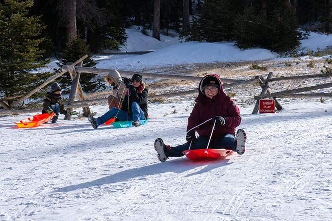 Rocky Mountain National Park Tour - Hidden Valley Sledding Tour - Who Will Enjoy This Tour?