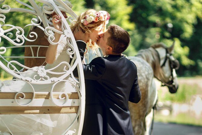 Romantic/Proposal Central Park Carriage Tour (Up to 4 Adults) - The Experience and the Fine Details