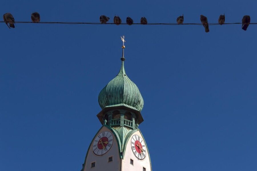 Rosenheim: Express Walk with a Local in 60 minutes - Final Thoughts: Is This Tour Worth It?
