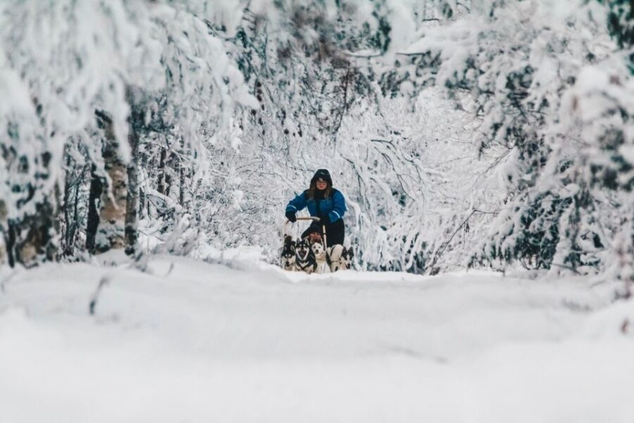 Rovaniemi: Apukka Husky Adventure - Who Will Enjoy This Experience?