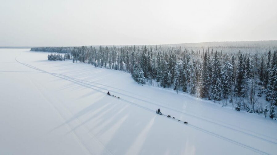 Rovaniemi: Arctic Circle Long Trail Husky Adventure - Practical Details and Tips