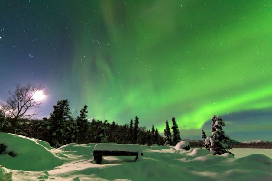 Rovaniemi: Aurora Borealis Snowmobile Safari with Campfire - The Value and Practicalities