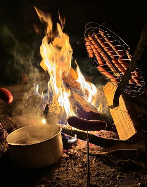 Rovaniemi: Aurora hunting and a fireside BBQ experience - Who Should Consider This Experience?