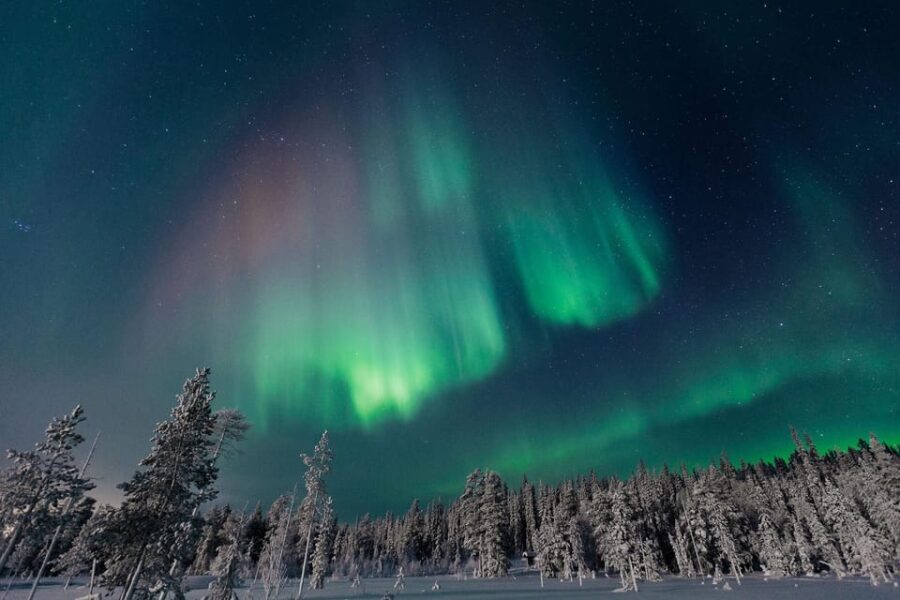 Rovaniemi: Aurora Hunting Tour in the Forest with Hot Drinks - The Sum Up