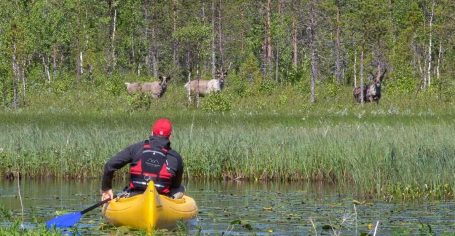 Rovaniemi: Authentic Reindeer Farm & Canoeing - The Experience Provider: Wild about Lapland