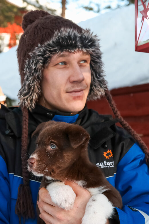 Rovaniemi: Daytime Husky Safari - Who will love this tour?