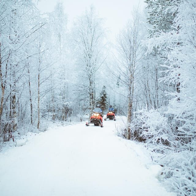 Rovaniemi: Early Winter 2 Hour Snowmobile Safari - Final Thoughts