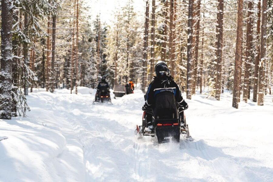 Rovaniemi: Easy Snowmobile Safari - Why This Tour Is a Great Match for You