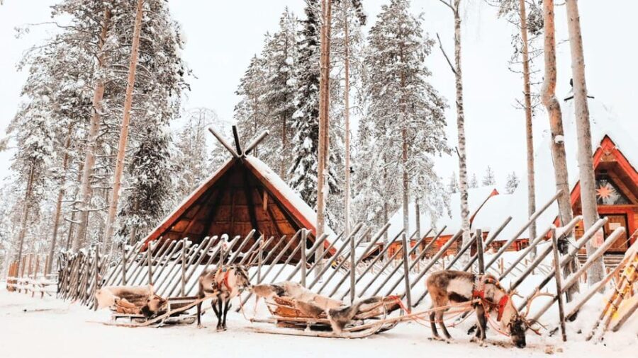 Rovaniemi: excursion to Santa Clause Holliday Village - The Value of This Tour