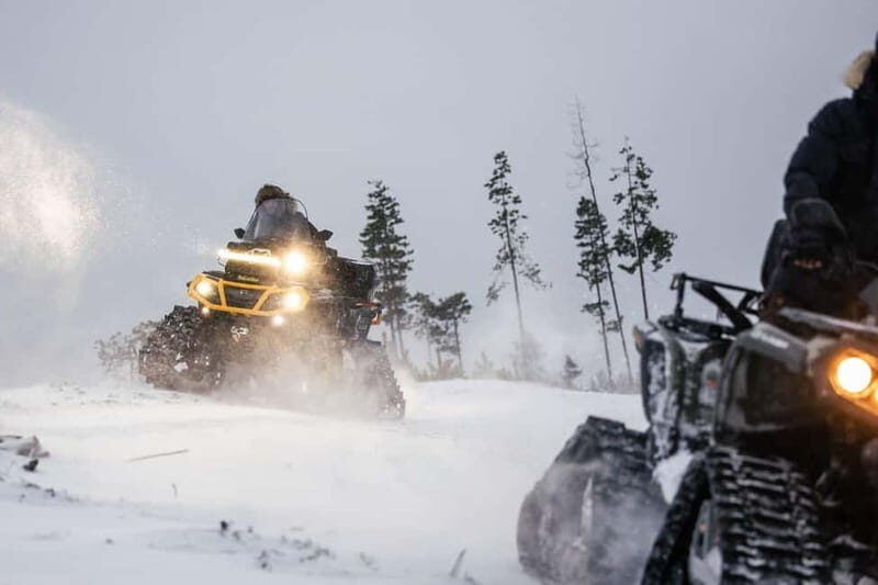 Rovaniemi Expedition "INTO THE WILD" and Glass Igloo Lunch - The Itinerary: What to Expect