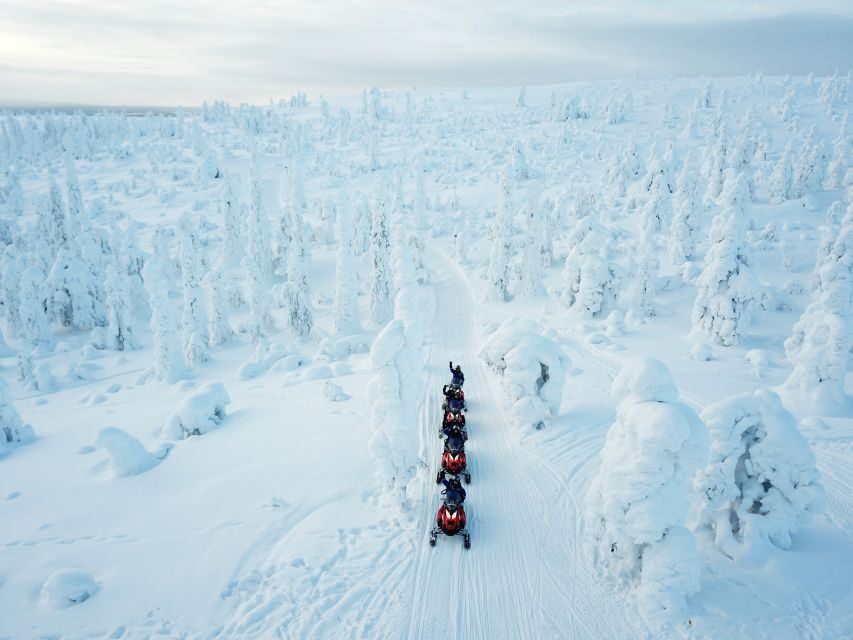 Rovaniemi: Full Day Snowmobile Safari into the Wilderness - What Makes This Tour Stand Out?