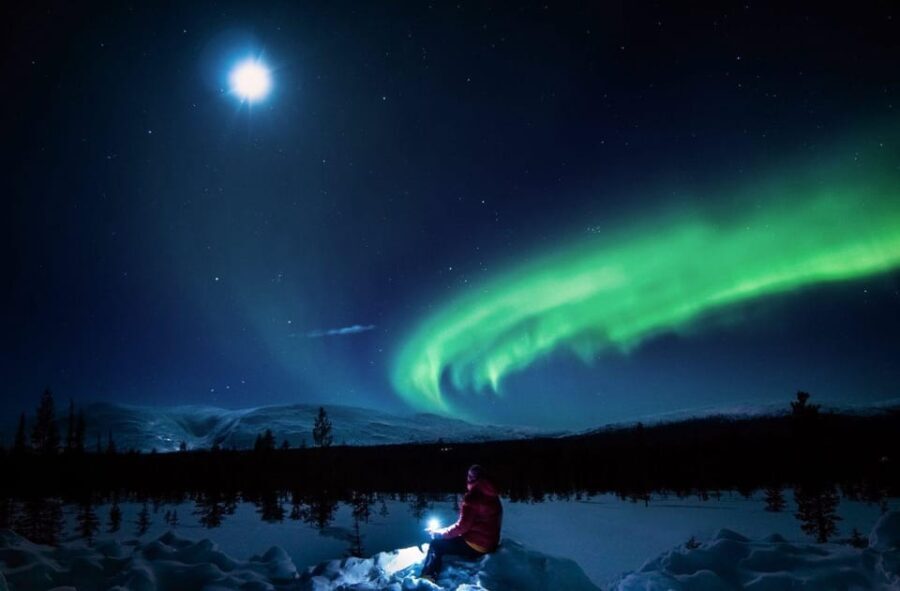 Rovaniemi: Guaranteed Aurora Hunting Tour with Local Guide - What Makes This Tour Stand Out