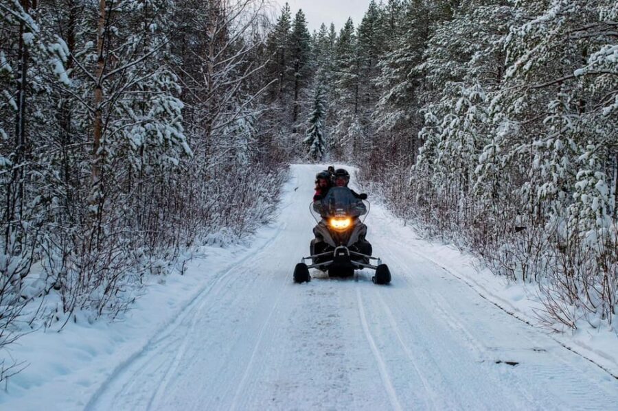 Rovaniemi: Guided Wilderness Snowmobile Safari & Barbeque - The Itinerary: What to Expect