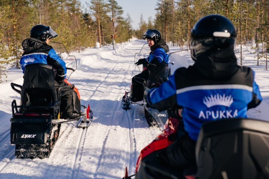 Rovaniemi: Half-Day Snowmobile Tour - Who Should Consider This Tour?