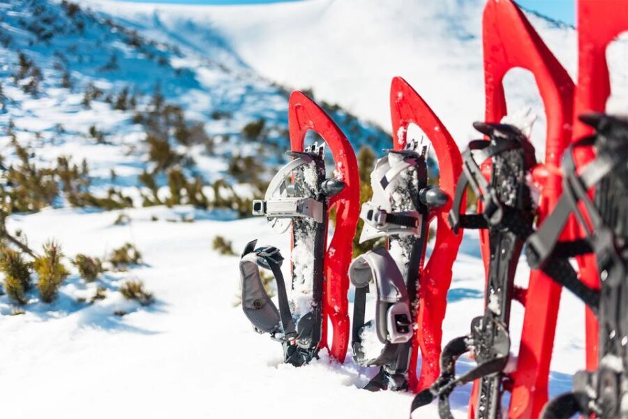 Rovaniemi: Hiking and Snowshoeing Adventure in Lapland - Who Will Love This Tour?
