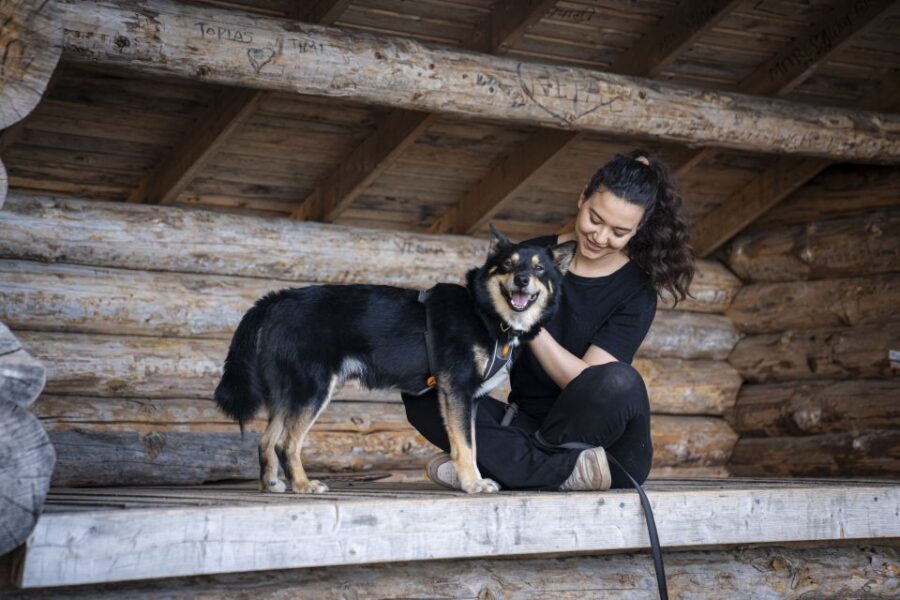 Rovaniemi: Hiking Experience with Lappish Dogs - The Itinerary: What to Expect