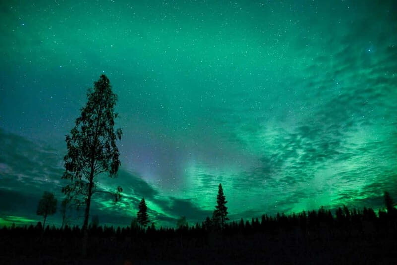Rovaniemi: Horse Sleigh Ride under the Night Sky - The Value of This Experience