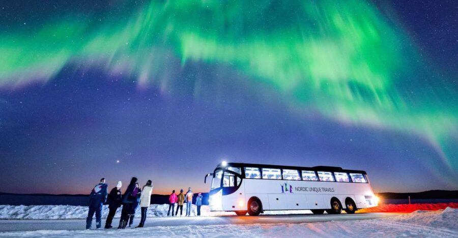 Rovaniemi: Hunting Northern Lights Bus Tour - What You Can Expect from the Experience