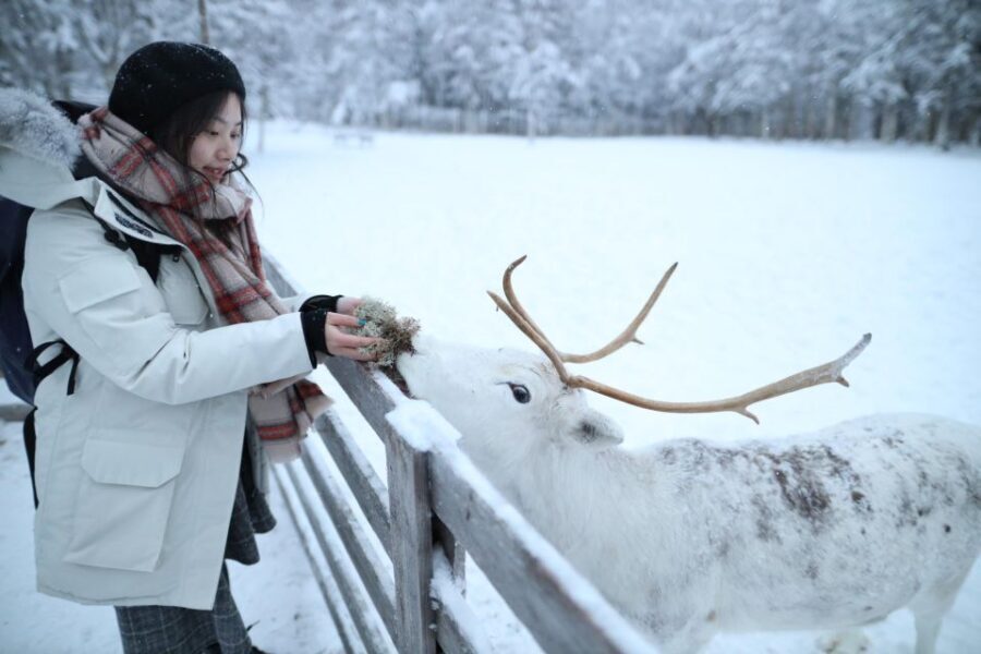 Rovaniemi: Husky and reindeer farm visit with sleigh rides - Authenticity and Visitor Feedback