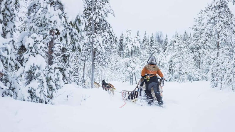 Rovaniemi: Husky & Reindeer Experience with Snowmobile Ride - Snowmobiling Through Lapland’s Wilderness