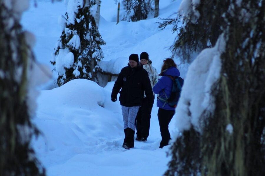 Rovaniemi: Korouoma Canyon and Frozen Waterfalls Tour - Frequently Asked Questions