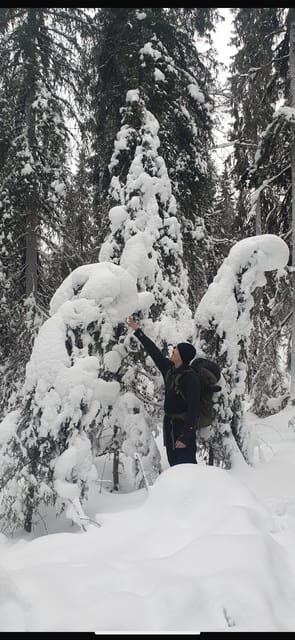Rovaniemi: Korouoma Canyon Frozen Waterfalls Day Trip - The Itinerary in Detail