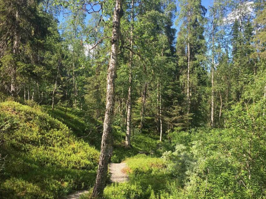 Rovaniemi: Korouoma Canyon & Waterfalls Tour with BBQ - Discovering Korouoma National Park