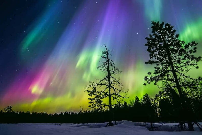 Rovaniemi: Lakeside Private Sauna with Aurora Borealis - What to Expect at Each Stage